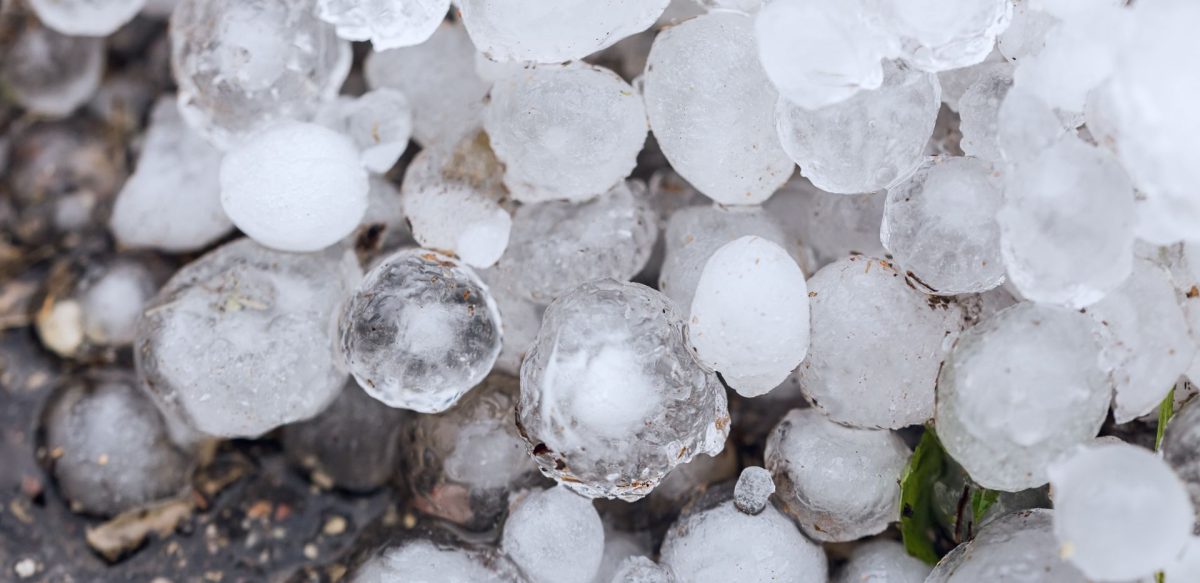 How to Measure Hailstones - Colorado Hail Claims